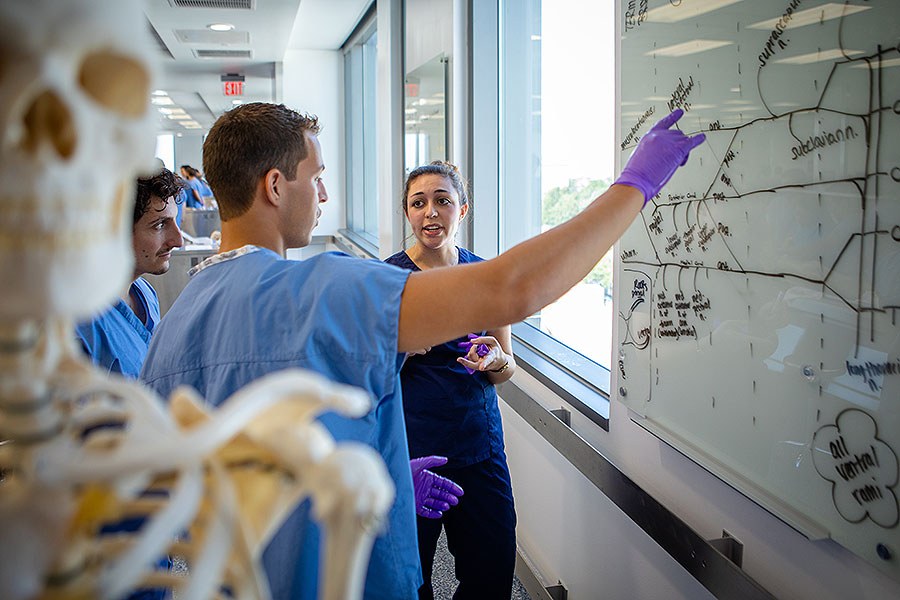 Gross Anatomy 2.0 - Global Health Initiative - University at Buffalo
