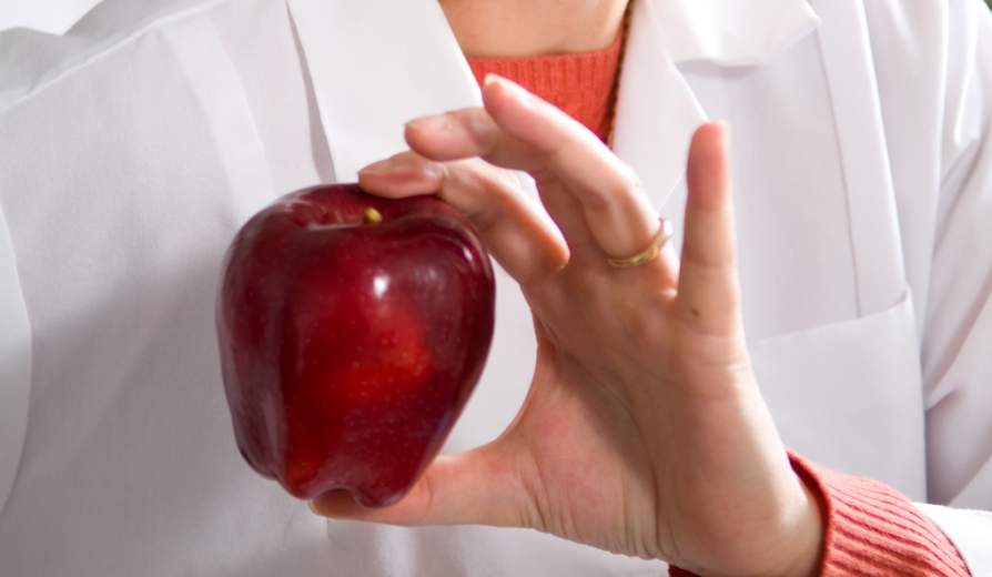 Nutrition MS - Exercise and Nutrition Sciences - University at Buffalo