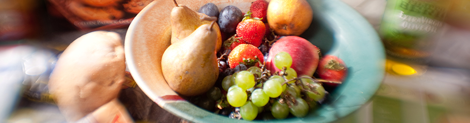 Nutrition and Health Research Laboratory - University at Buffalo